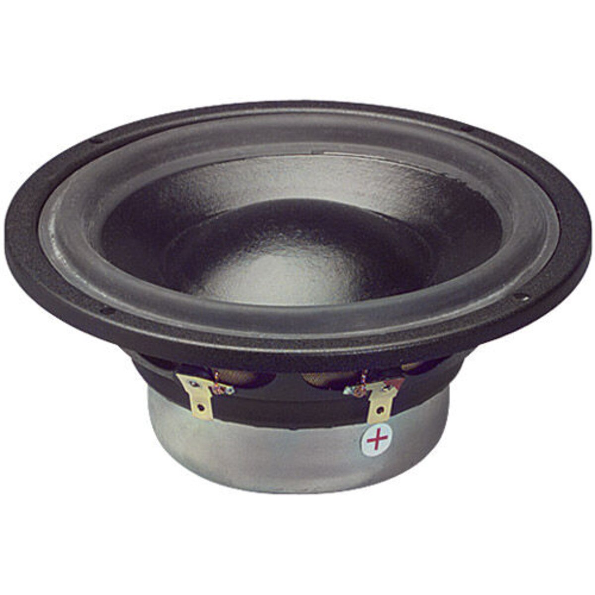 Morel MW 164 6" Woofer